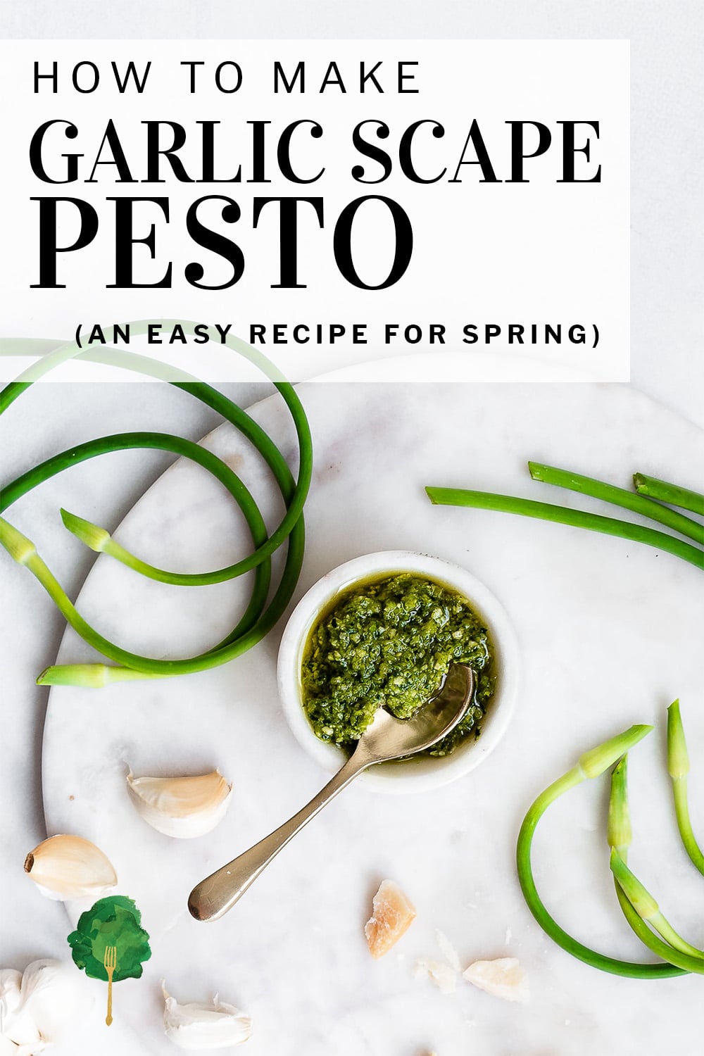 Easy Garlic Scape Pesto Recipe - Nourished Kitchen
